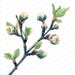 19 Spring Budding Branches Clipart | Early Spring Nature Illustration ...