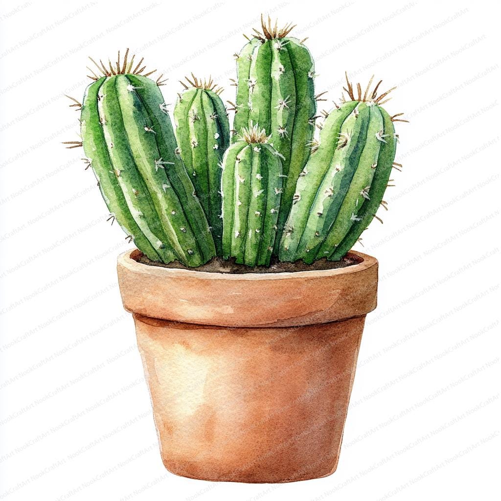 22 Cactus Plant Clipart Collection | Potted Succulent Art Set ...