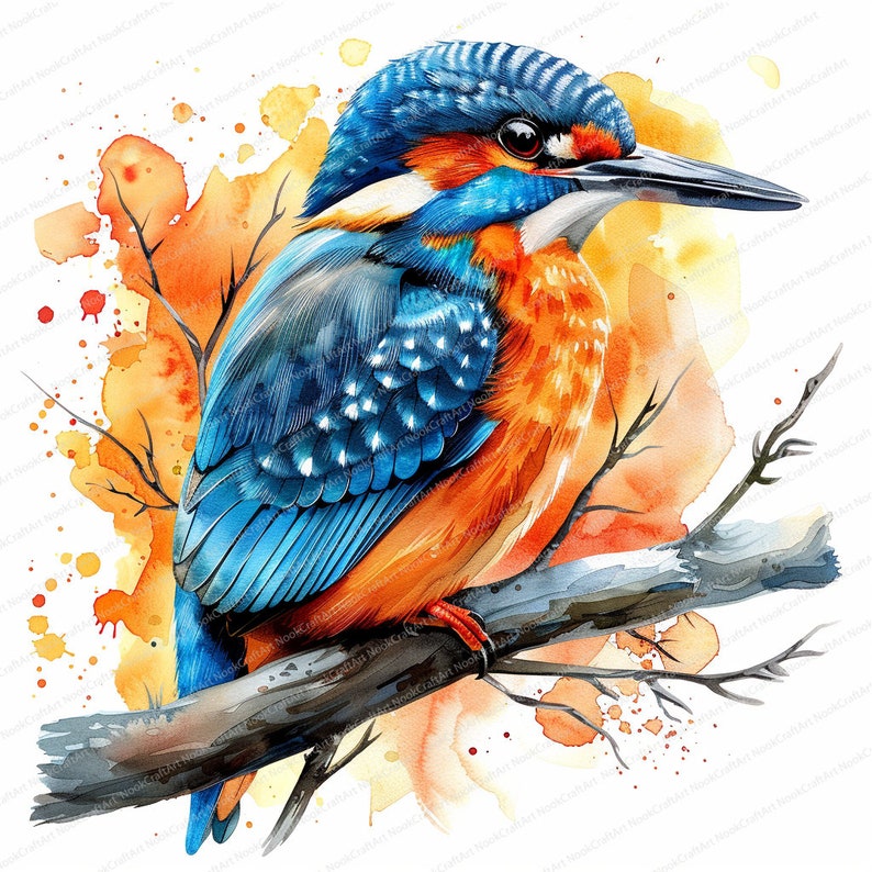 14 Kingfisher Bird Clipart Watercolor Kingfisher High Quality Jpgs ...