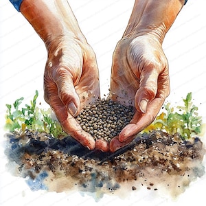 20 Garden Seed Clipart | Planting Essentials Collection| Printable ...