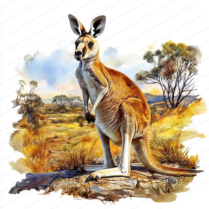 Kangaroo Watercolor - Etsy