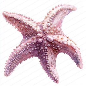 15 Starfish Ocean Clipart | Beach-themed Digital Art | Printable ...