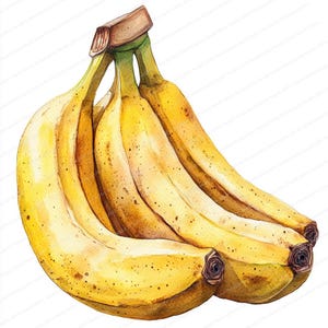 20 Banana Paradise Clipart | Tropical Fruit Illustration Set ...