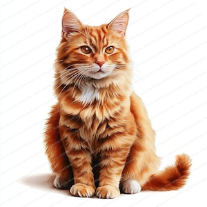 Ginger Cats Clipart | 20 High Quality Jpgs | Nursery Art | Digital ...