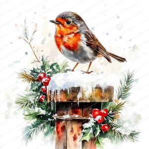 16 Cute Christmas Robins Clipart | Printable Watercolor Clipart | High ...