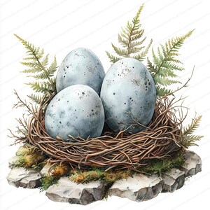 20 Dinosaur Egg Nest Clipart | Prehistoric Nesting Illustration ...