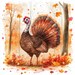 21 Colorful Turkey Feather Clipart | Thanksgiving Holiday Design Asset ...
