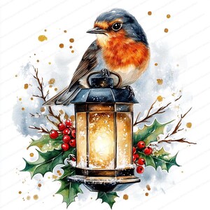16 Cute Christmas Robins Clipart | Printable Watercolor Clipart | High ...
