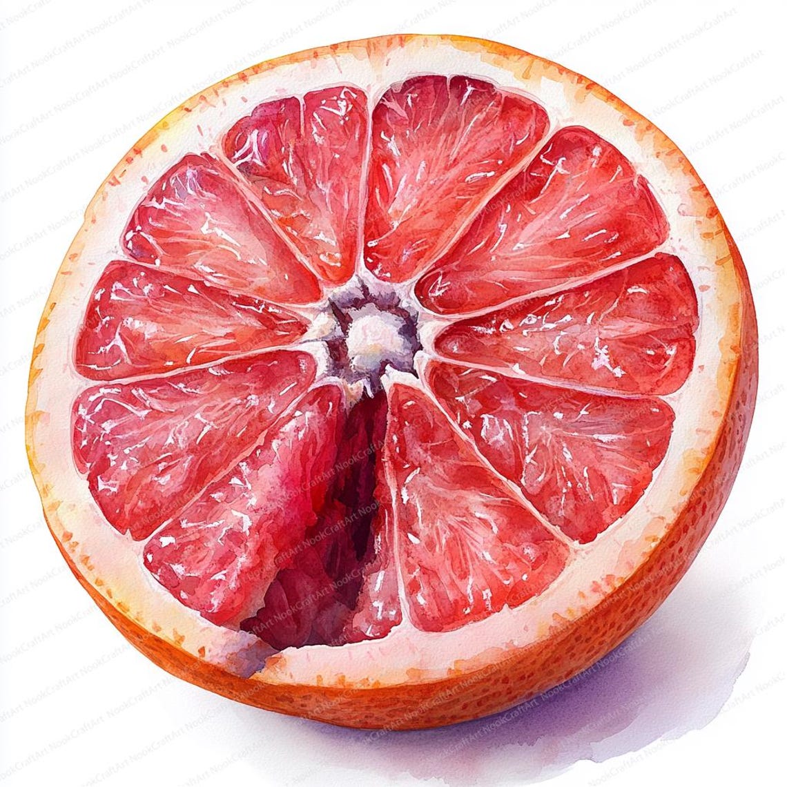 19 Grapefruit Watercolor Clipart | Citrus Fruits Digital Art ...