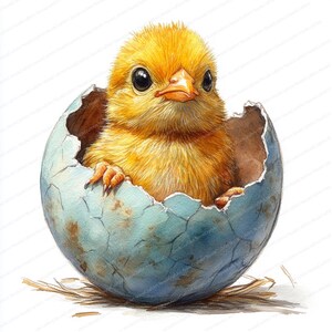 20 Hatching Chick Clipart | Cute Baby Bird Illustration| Printable ...