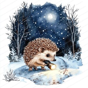 14 Hedgehog With Lantern Clipart | Printable Watercolor Clipart | High ...