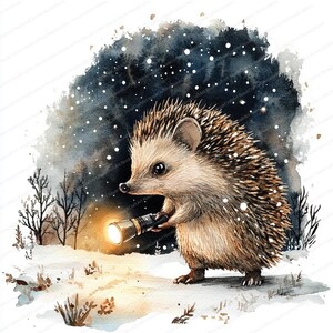 14 Hedgehog With Lantern Clipart | Printable Watercolor Clipart | High ...