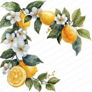12 Lemon Garland Clipart | Lemon Wreath | Printable Watercolor Clipart ...