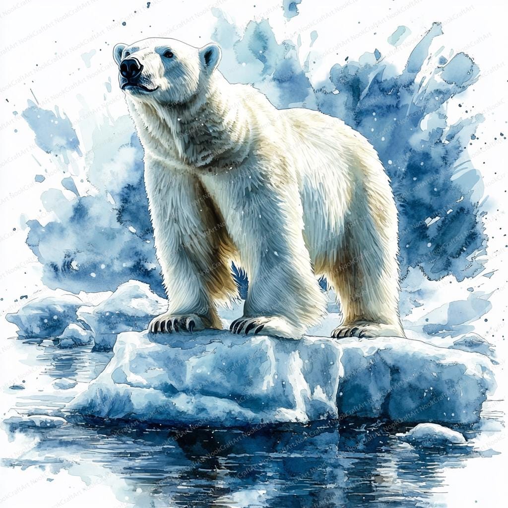 20 Polar Bear on Ice Clipart | Arctic Wildlife Digital Illustration ...