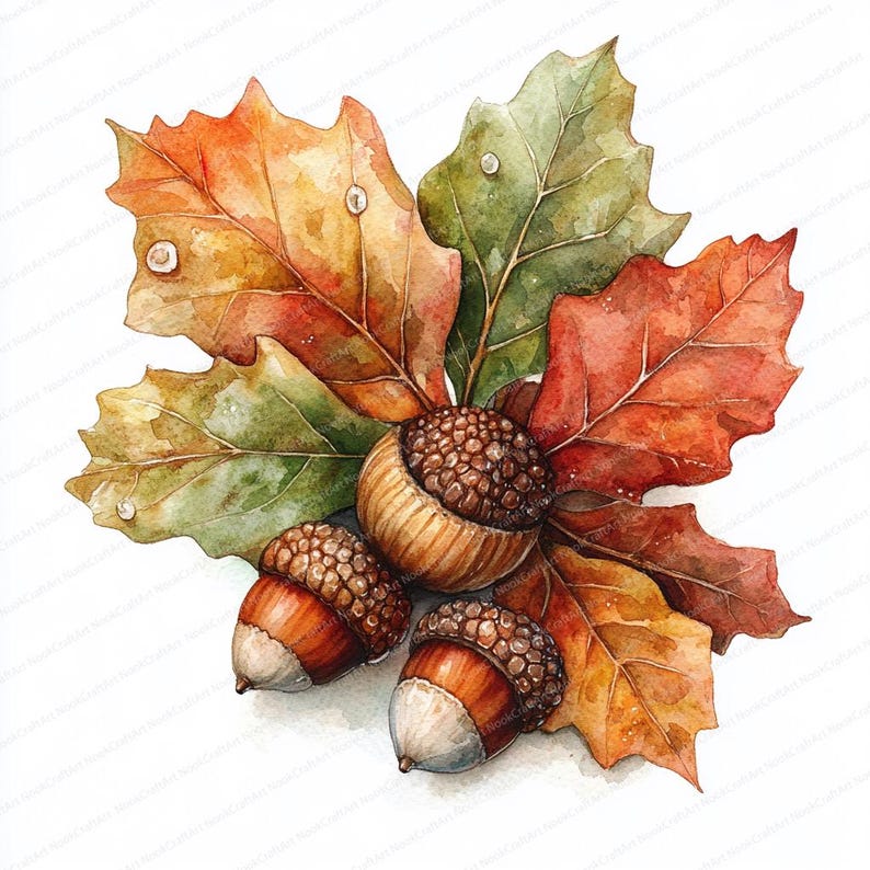 24 Oak Leaves and Acorns Clipart | Nature-inspired Autumn Graphics ...