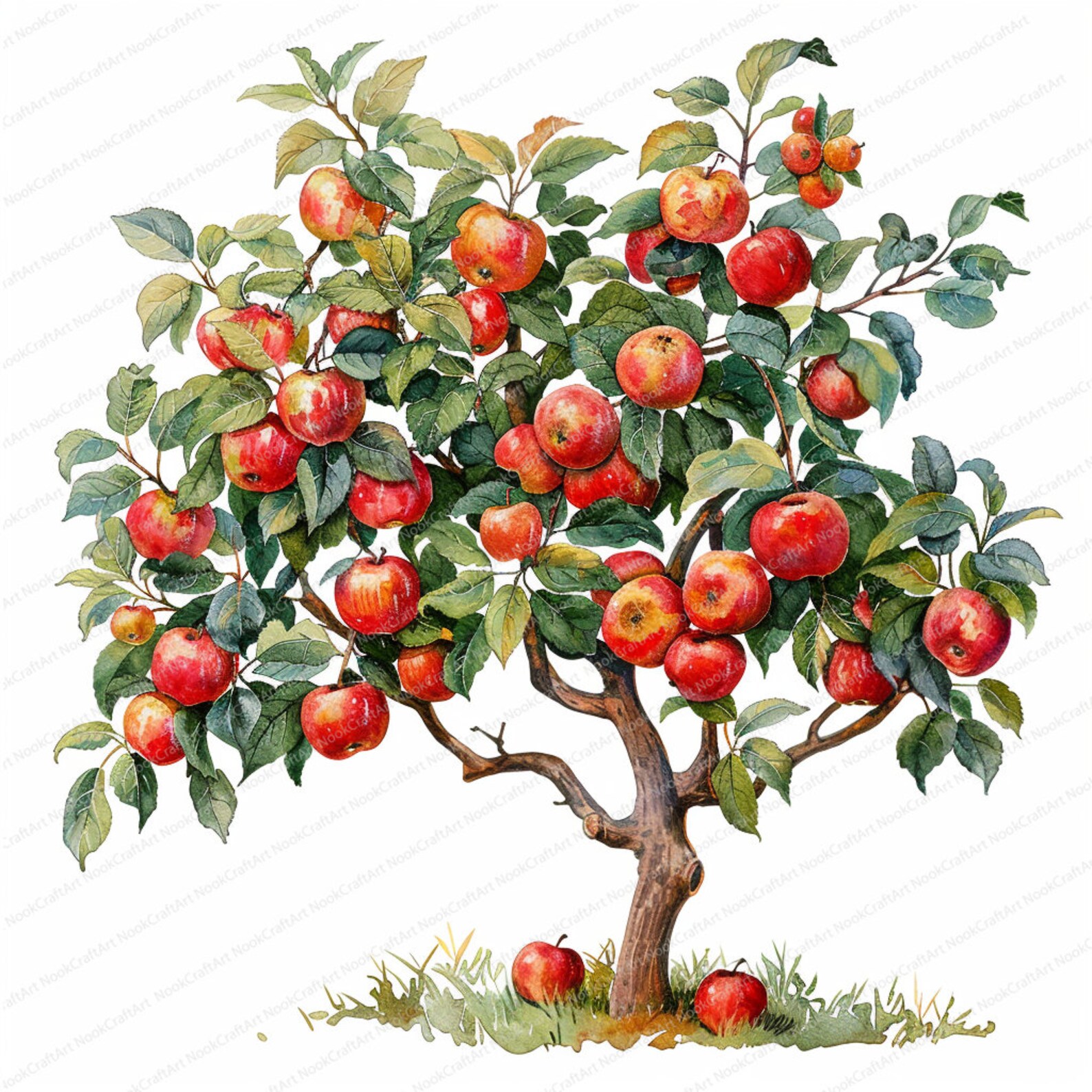 12 Apple Trees Clipart Apple Tree Printable Watercolor Clipart High ...
