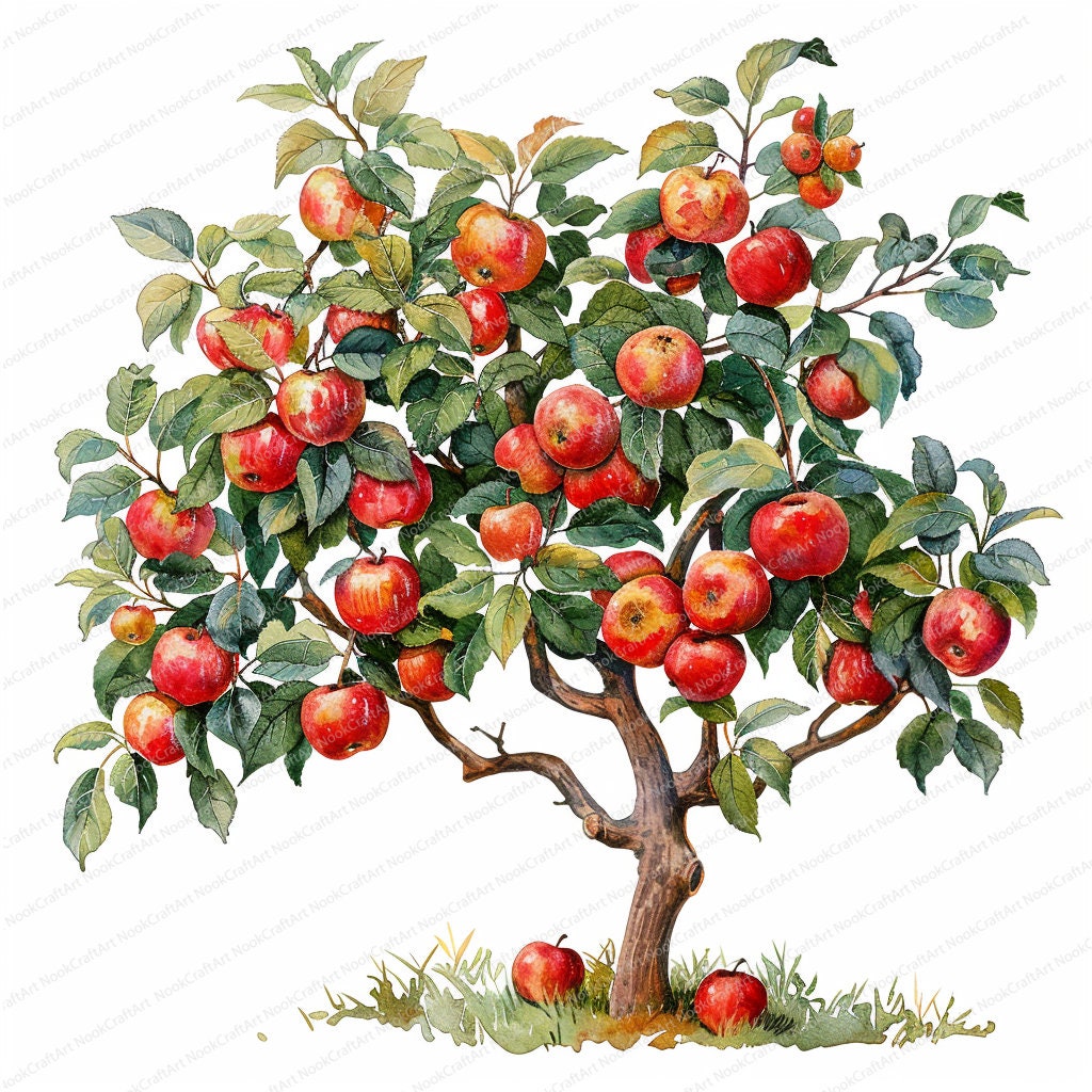 12 Apple Trees Clipart Apple Tree Printable Watercolor Clipart High ...