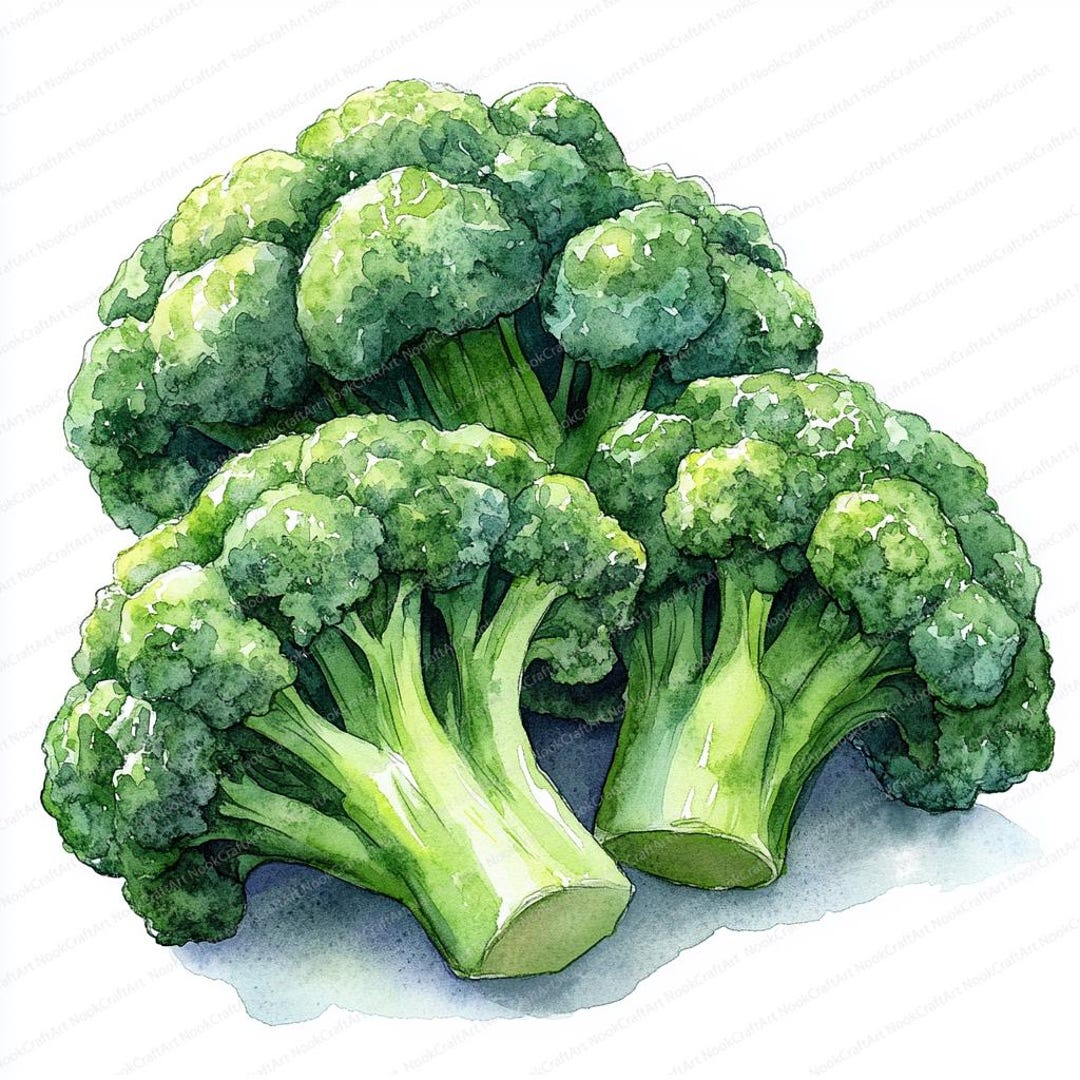 Broccoli Clipart Free