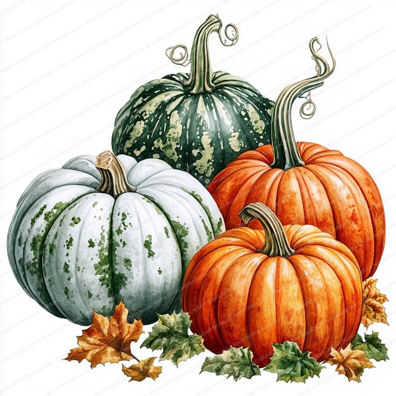 18 Autumn Gourds and Pumpkin Clipart | Harvest Pumpkin Designs | High ...