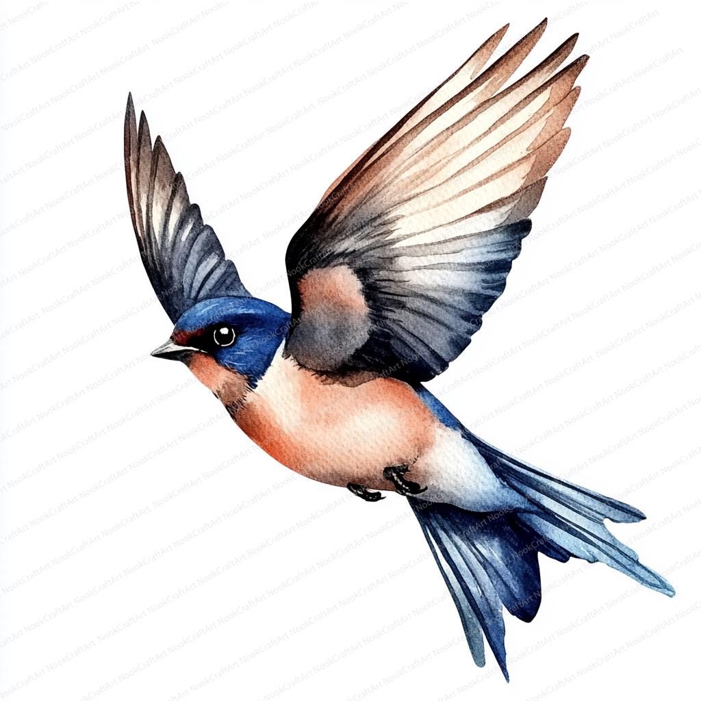 20 Swallow Bird Clipart | Watercolor Designs | Printable Art | High ...