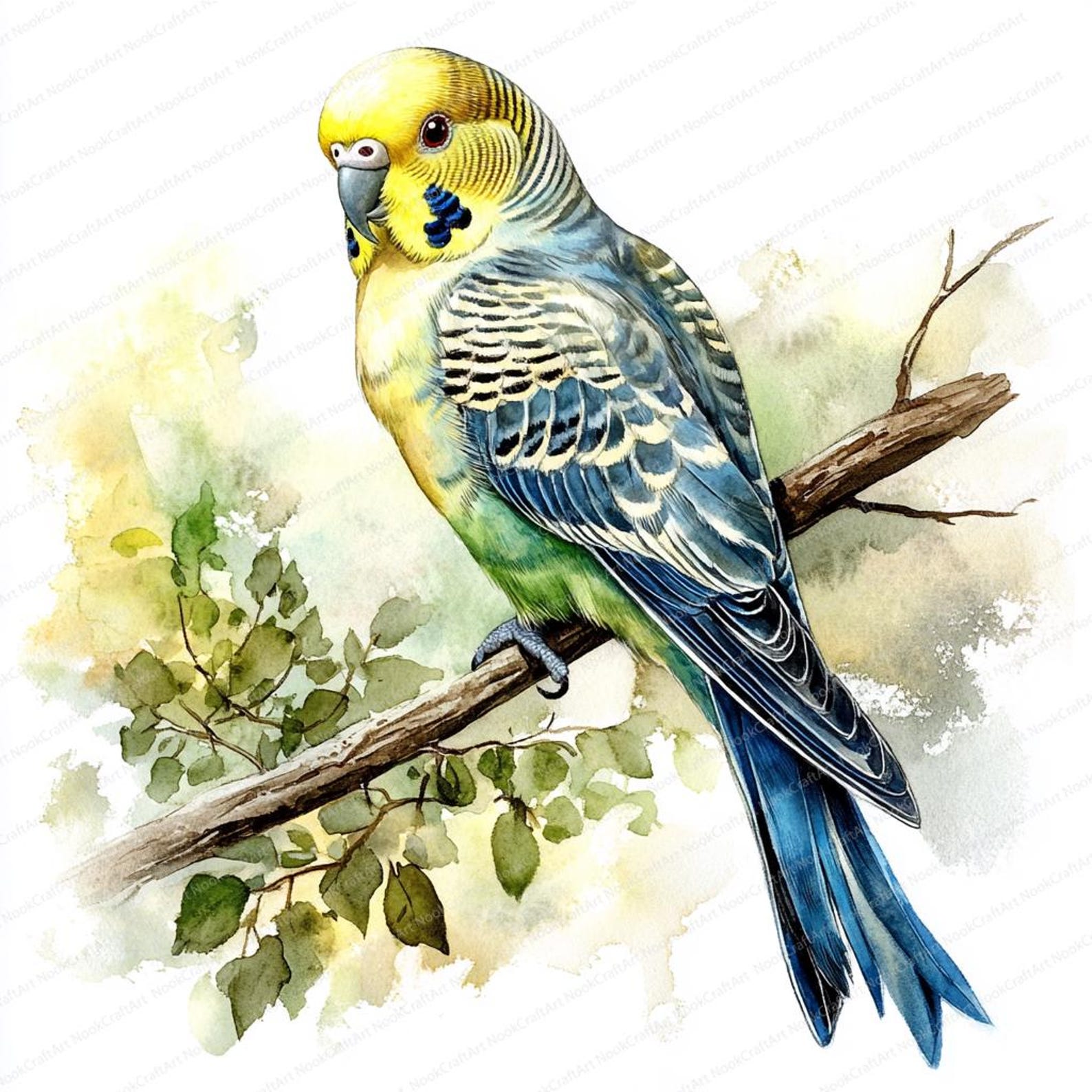 16 Budgie Clipart | Watercolor Parakeet | Printable Watercolor Clipart ...