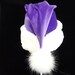 Violet Velvet Santa Hat, NEW Old World Victorian Christmas Hat, Purple ...