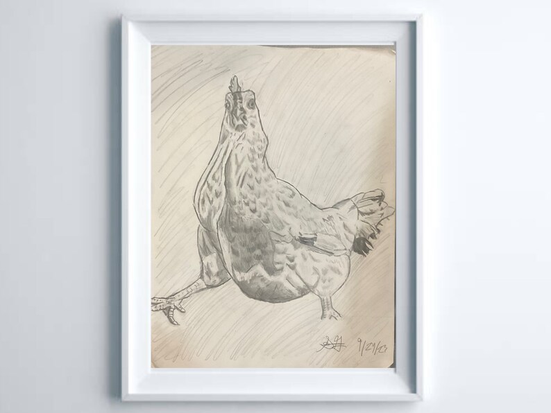 Graphite Chicken Portrait - Etsy