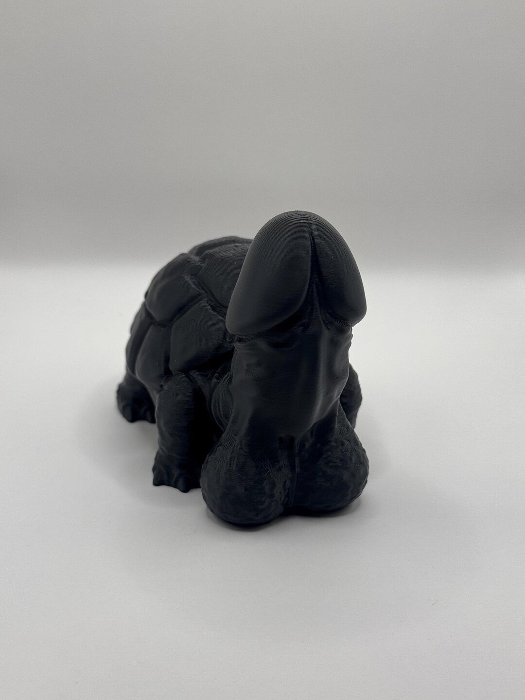 Dickosaurus - Turtle - Etsy