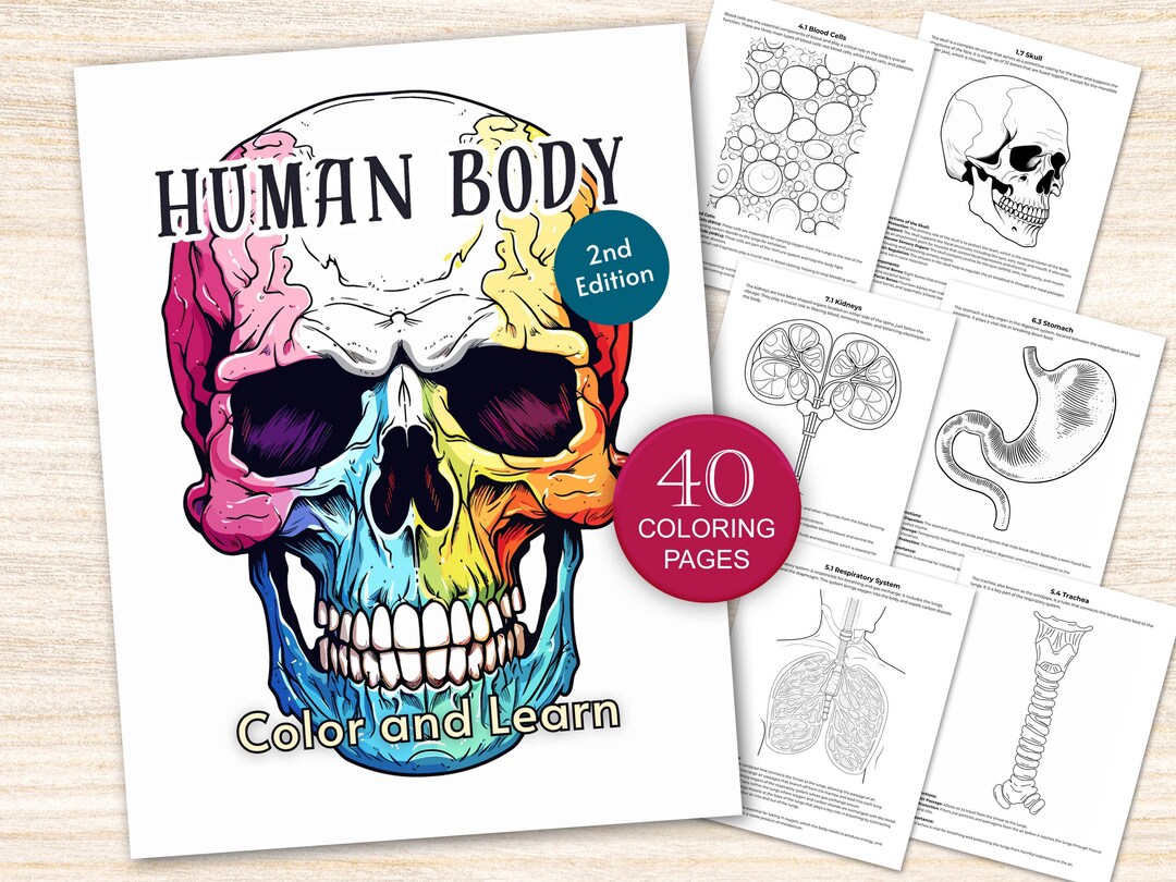 Discover Human Anatomy (2nd Edition): A Coloring Book With 40 ...