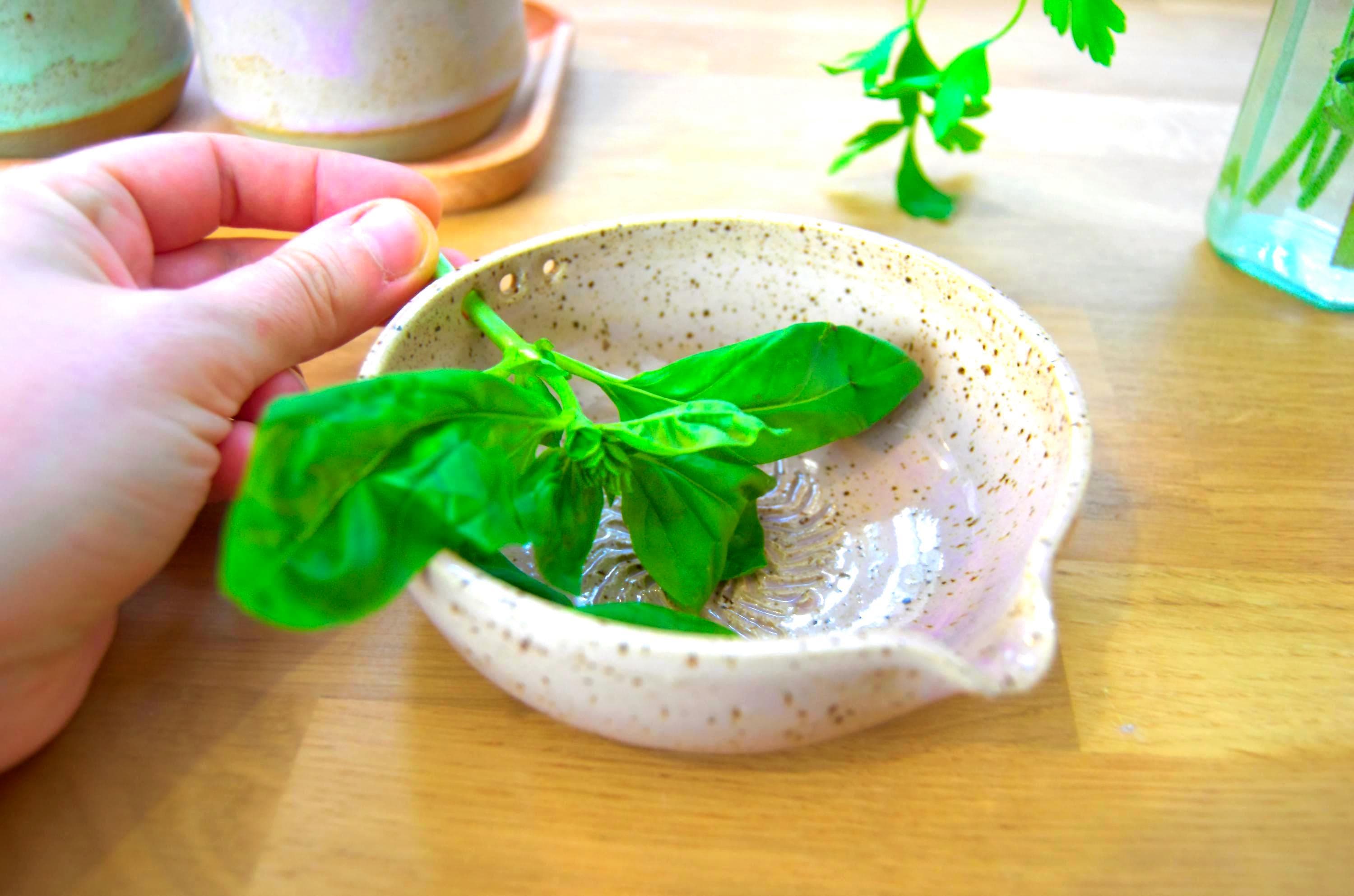 Handmade Grater Plate Set, Garlic Herb Stripper Bowl, Ceramic Kitchen ...