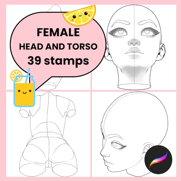 Female Torso Drawing - Etsy