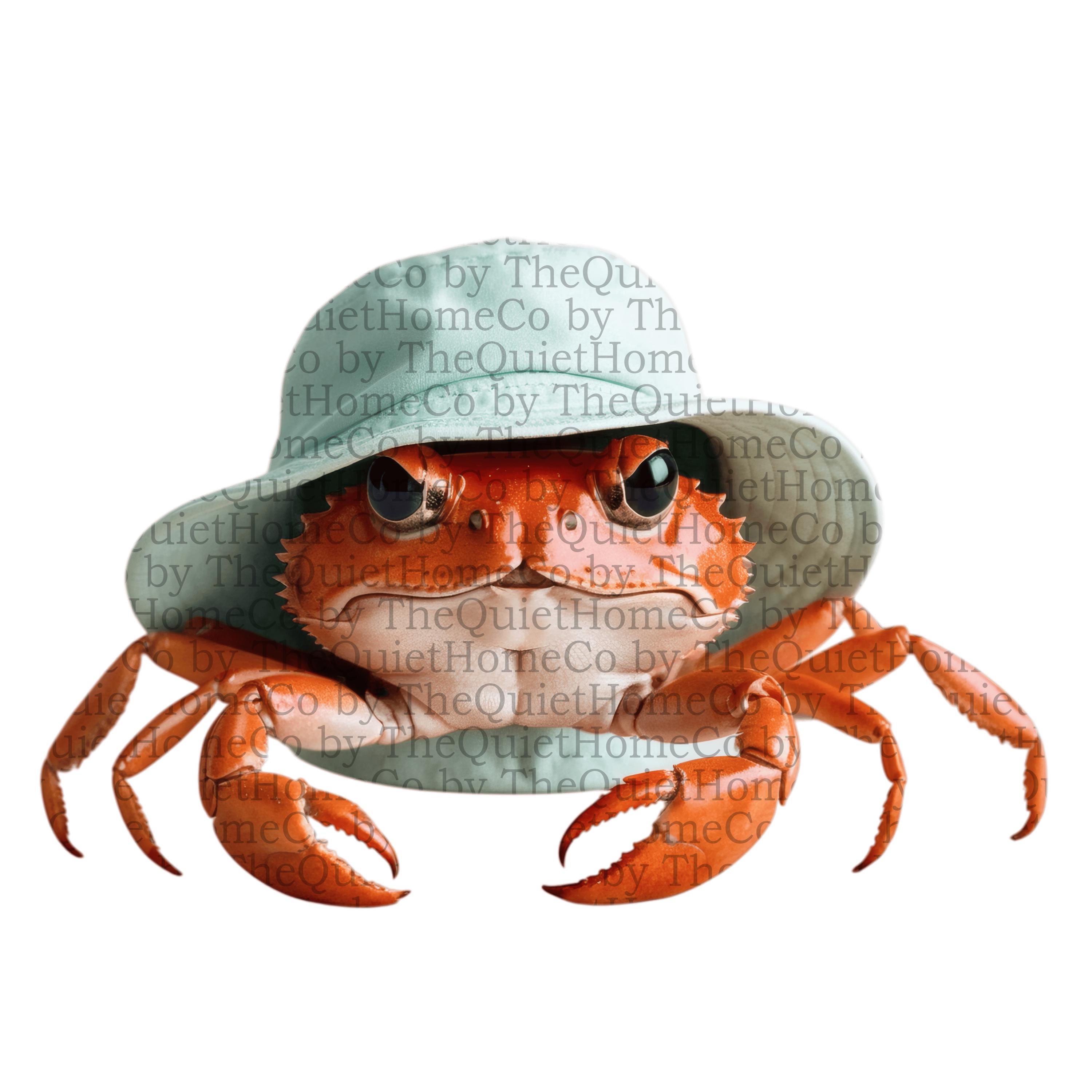 32 Beach Crab PNG Clipart Set | Cute Watercolor Crabs in Buckets & Sun ...