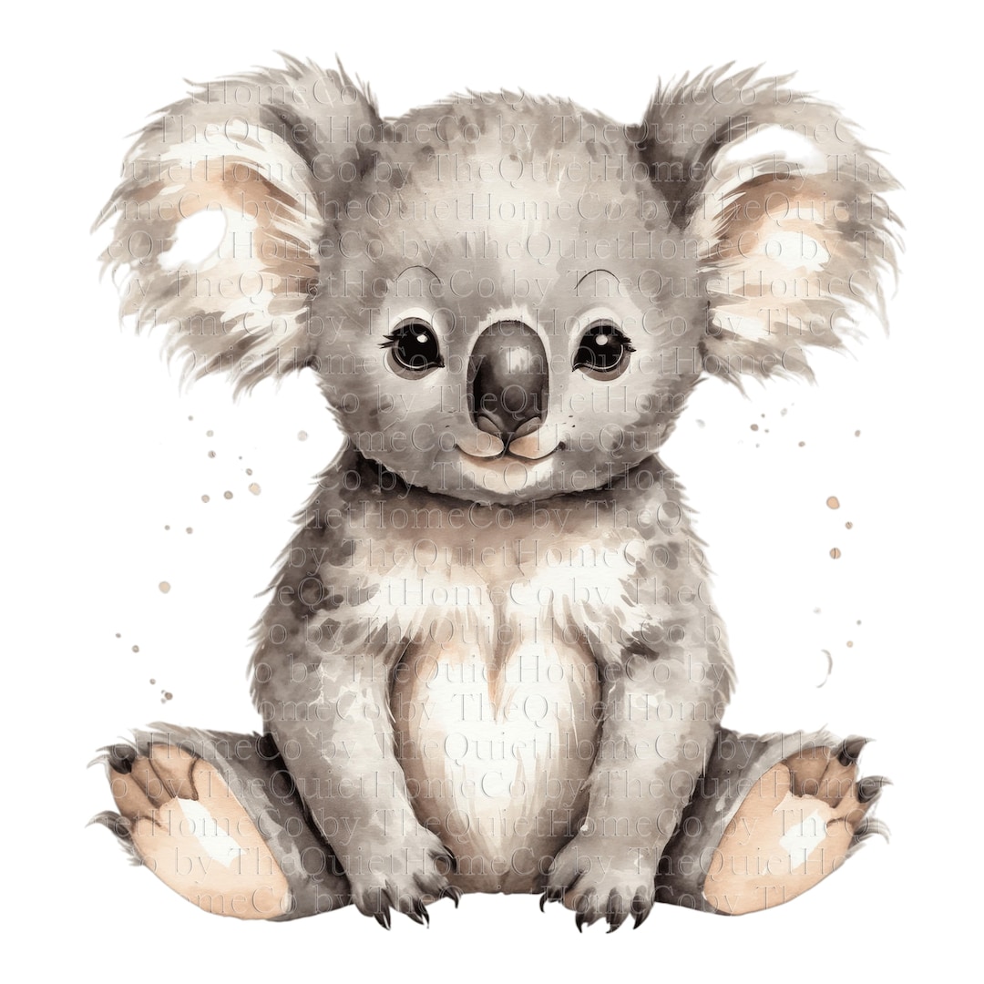 20 Watercolor Baby Koala Clipart | Australian Animal PNG Set (digital ...
