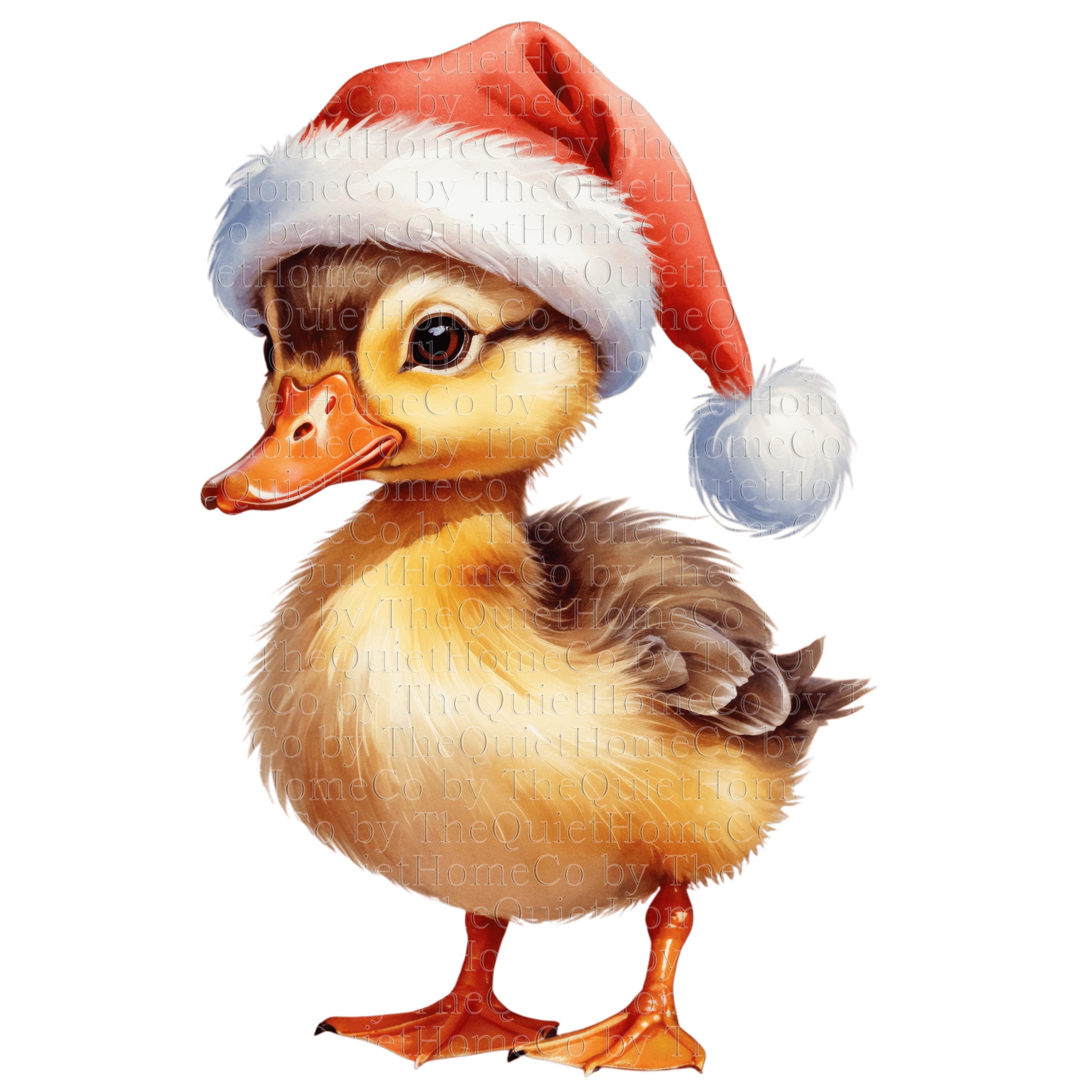 19 Christmas Duckling Clipart PNG Set | Watercolor Santa Hat Baby Duck ...