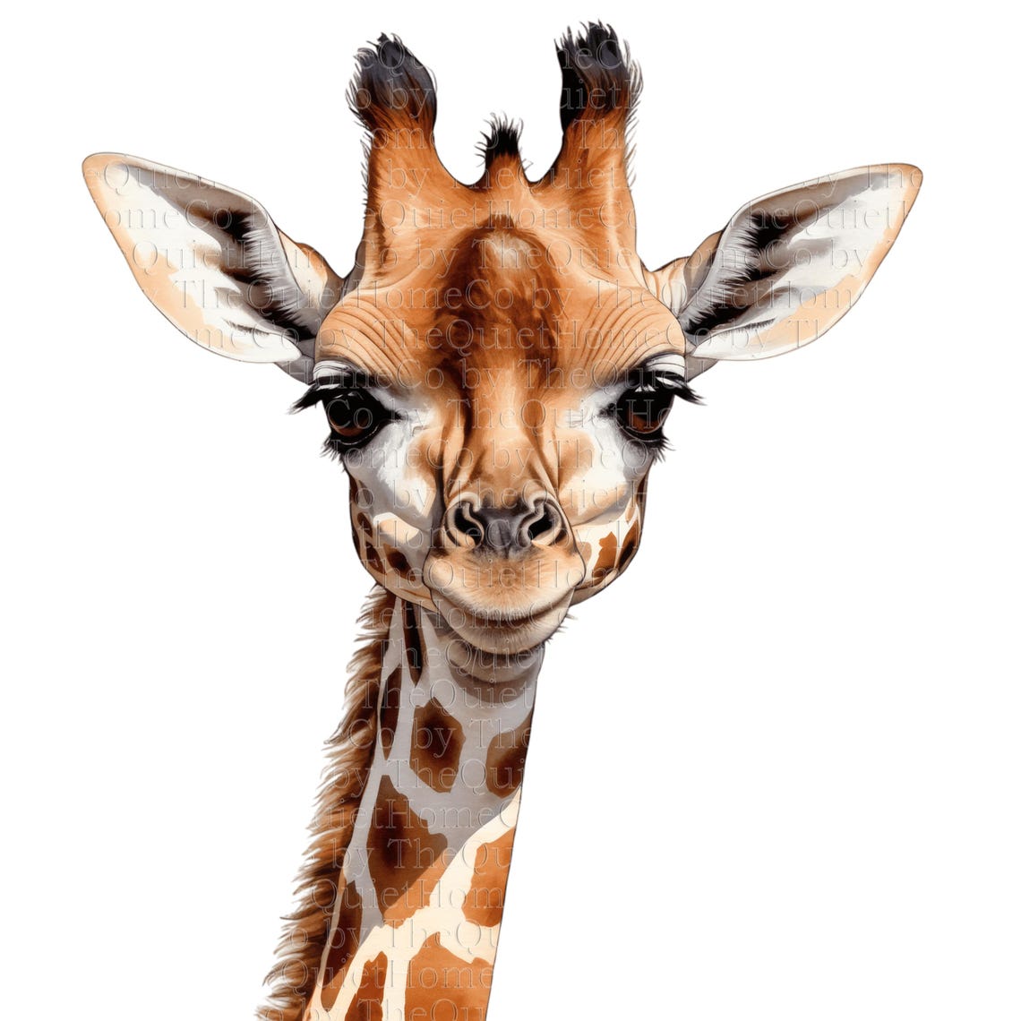13 Giraffe Clipart PNG Set | Realistic & Cute Baby Giraffe ...