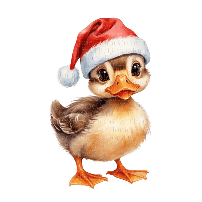19 Christmas Duckling Clipart PNG Set | Watercolor Santa Hat Baby Duck ...