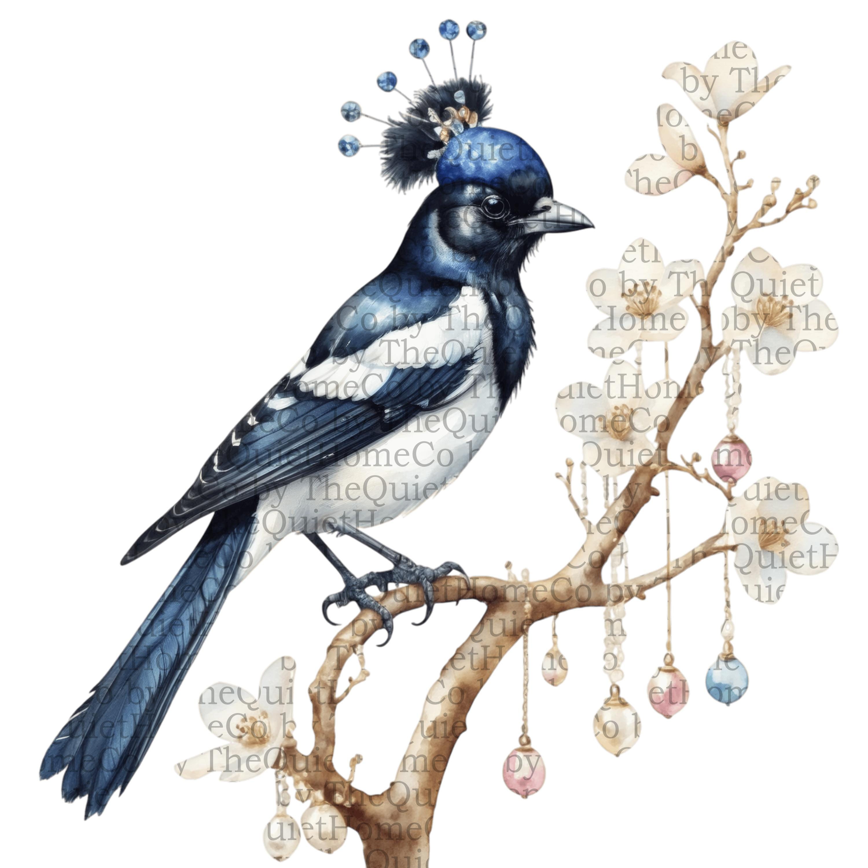 31 Blue Jay PNG Clipart Set | Watercolor Birds With Jewels, Vintage ...