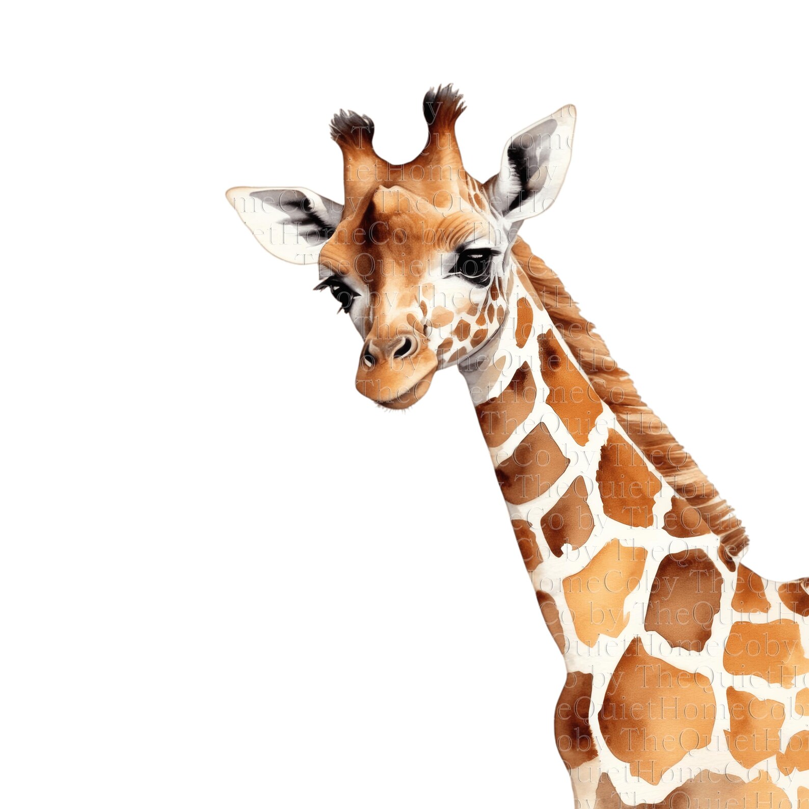 13 Giraffe Clipart PNG Set | Realistic Nursery Decor (digital Download ...