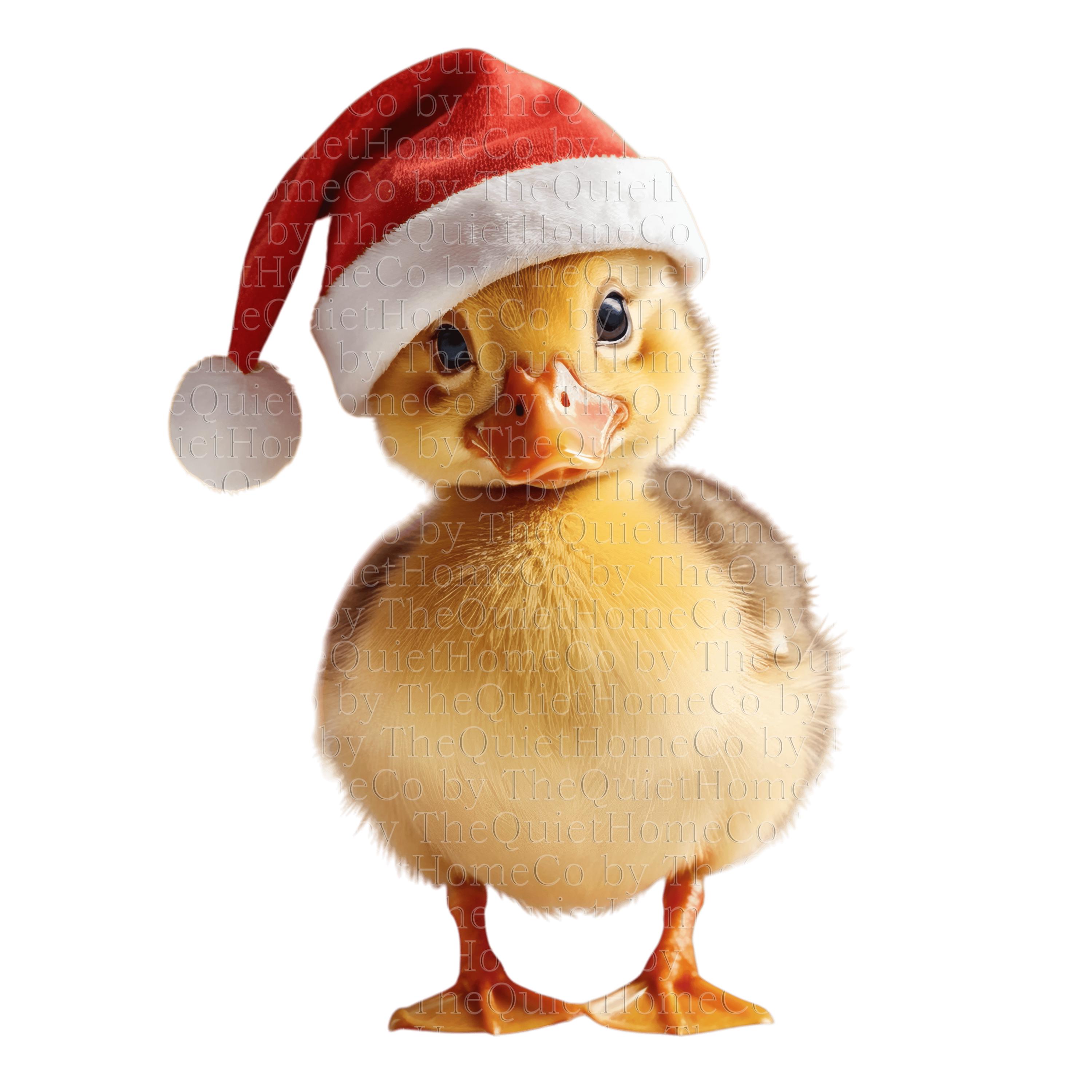 19 Christmas Duckling Clipart PNG Set | Watercolor Santa Hat Baby Duck ...