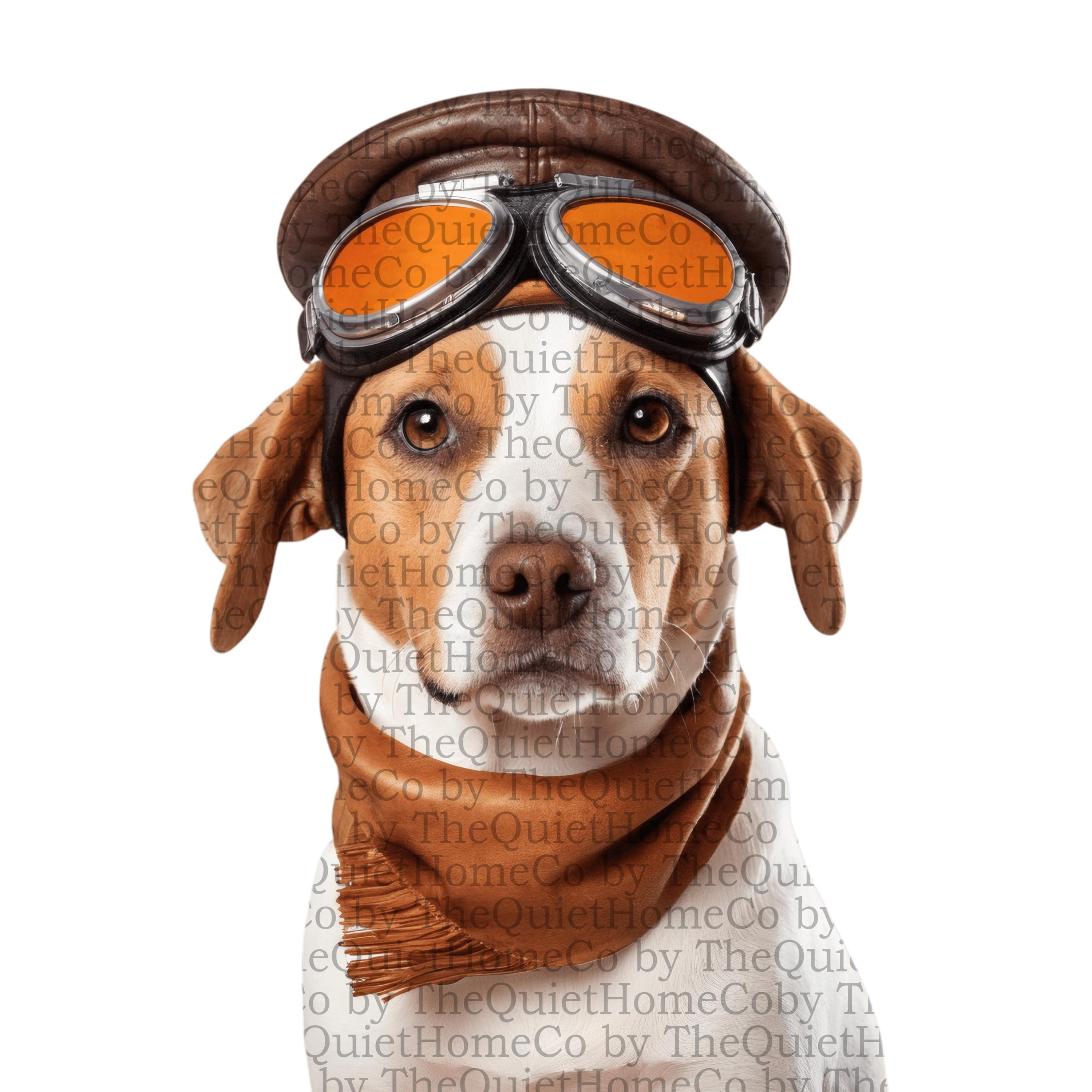 20 Watercolor Pilot Dog Clipart Set | Aviation PNG Images (digital ...