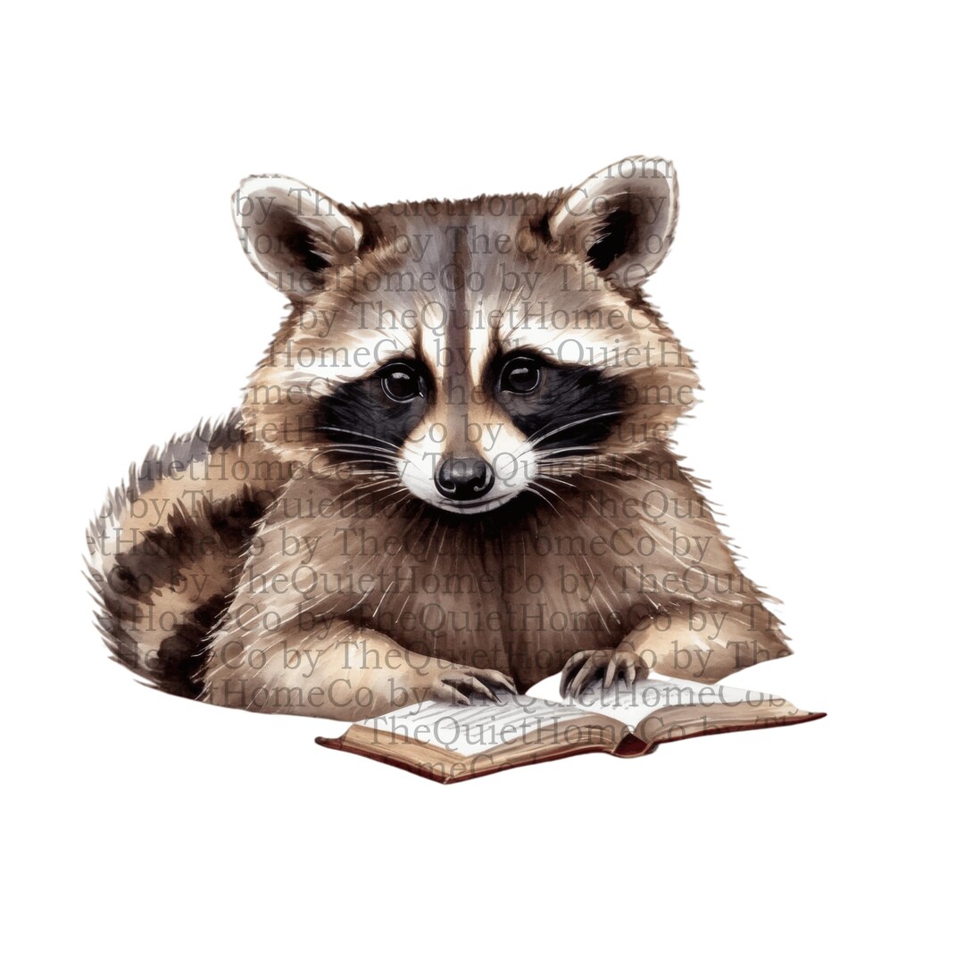 13 Watercolor Raccoon Clipart Set | PNG Reading Raccoons With Books ...