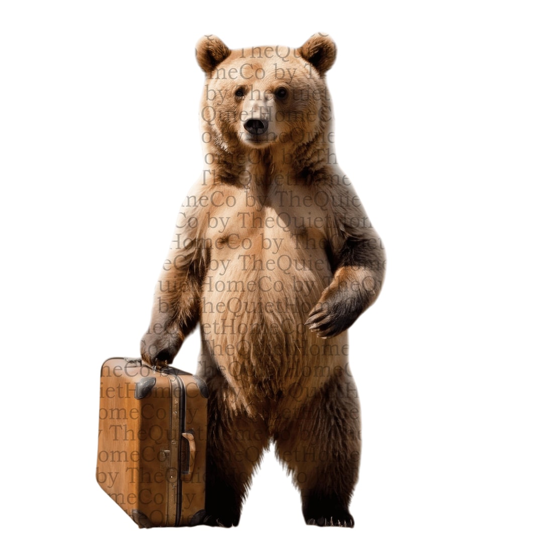 29 Traveling Bear PNG Clipart Set | Watercolor Teddy Bears With ...