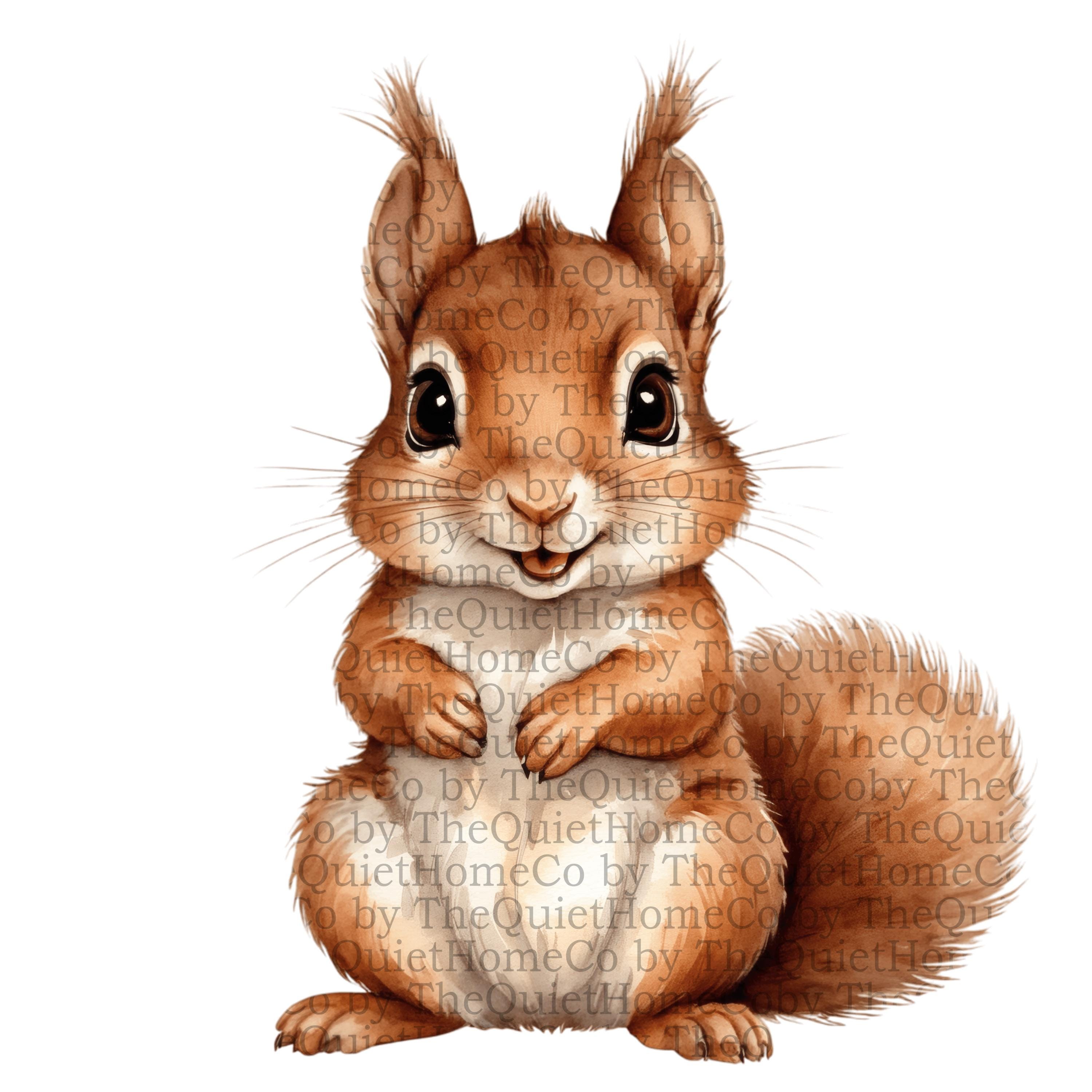 19 Realistic Squirrel Clipart Set, Hand-painted PNG (digital Download ...