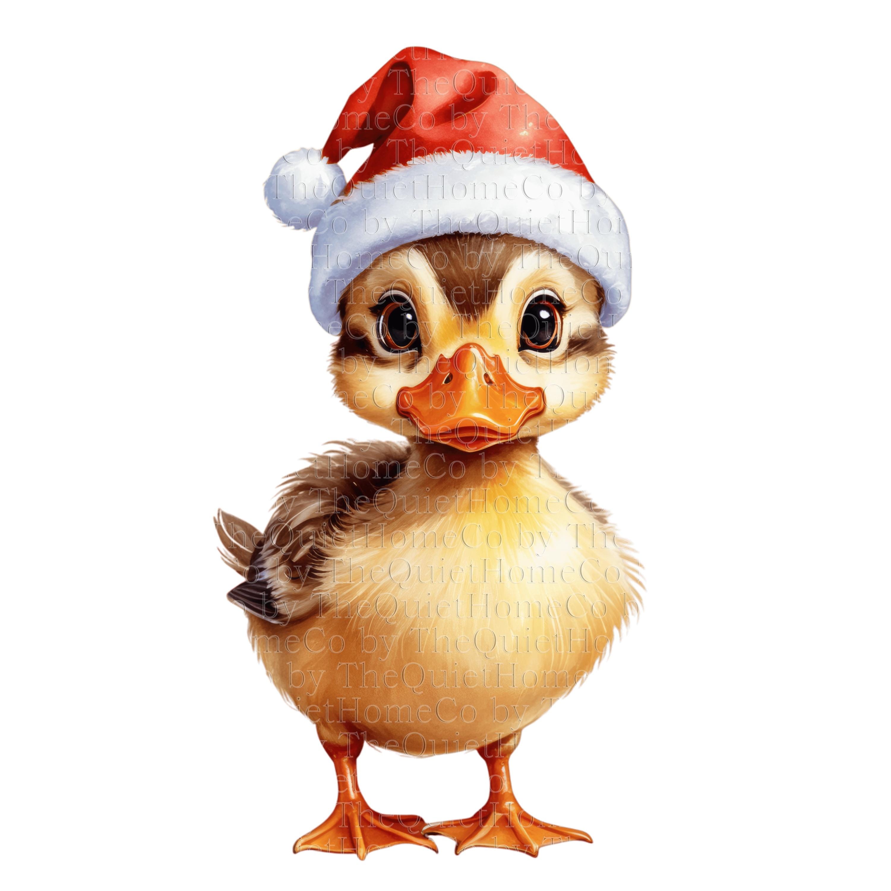 19 Christmas Duckling Clipart PNG Set | Watercolor Santa Hat Baby Duck ...