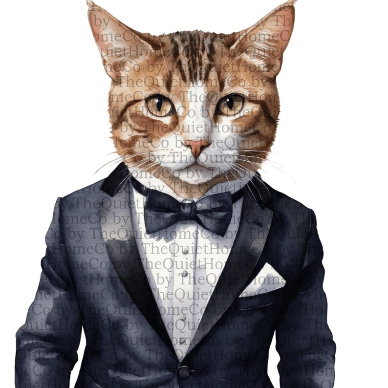 25 Cat in Tuxedo PNG Clipart Set | Watercolor Cats in Suits & Bowties ...