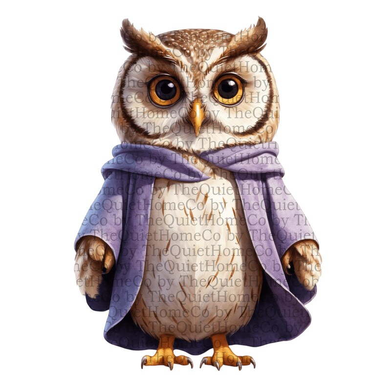 Wise Owl Clip Art - Etsy
