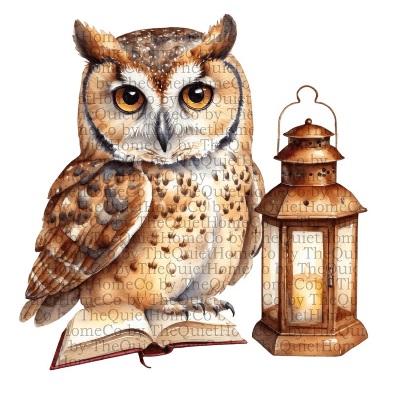 Wise Owl Clip Art - Etsy