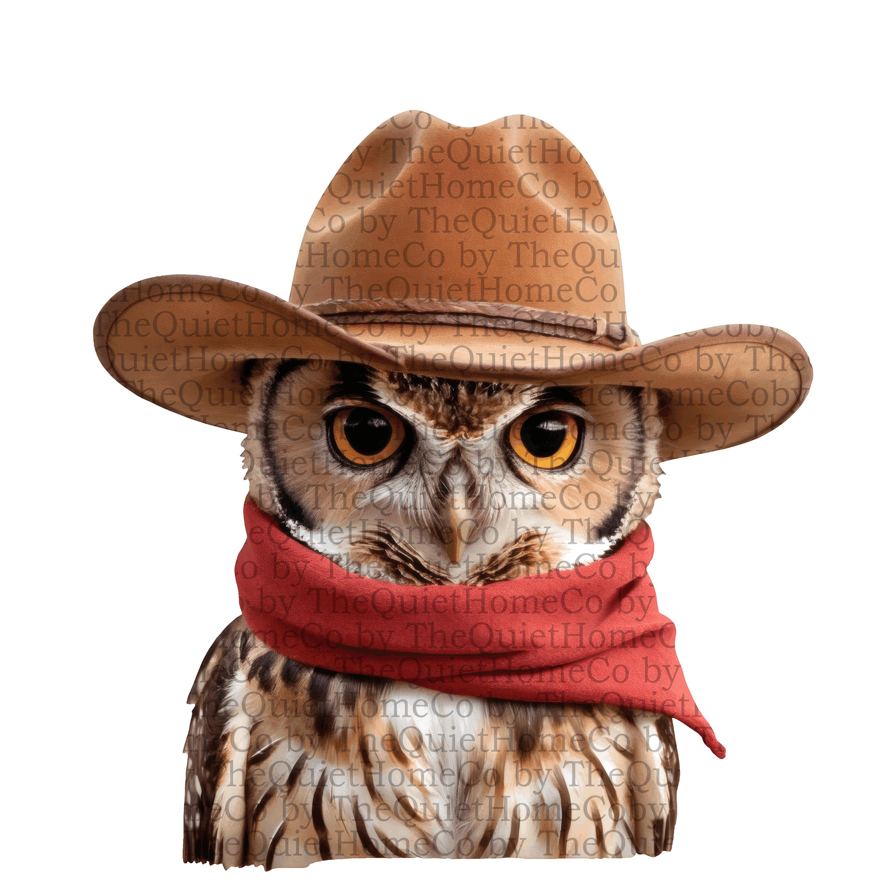10 Western Owl PNG Clipart Set | Watercolor Cowboy Owls in Hats Scarves ...