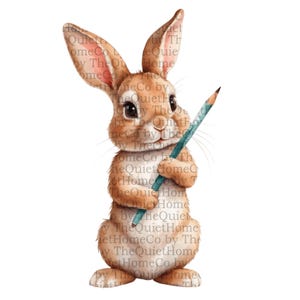 17 Watercolor Bunny Teacher Clipart Bundle | PNG Educational Rabbits ...