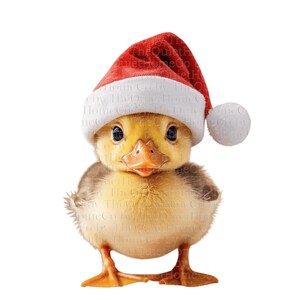 19 Christmas Duckling Clipart PNG Set | Watercolor Santa Hat Baby Duck ...